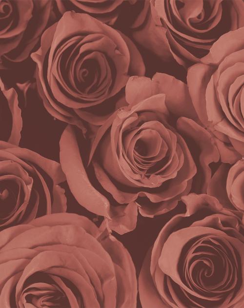 What’s to follow on from a Labour victory? - One Knightsbridge Capital